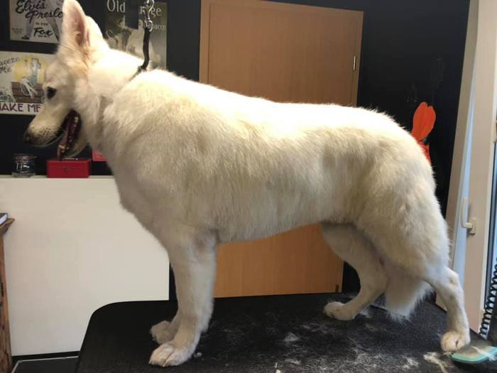 ONTWOLLEN :: l'Eau Belle